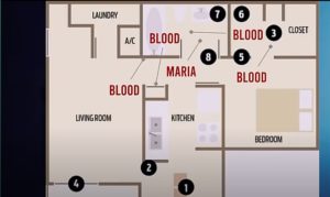 The Murder of Maria Nemeth : Fidel Lopez sentenced to life in prison ...