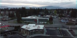 Terry Driver : aka the Abbotsfords killer . – Crimestoriescollection