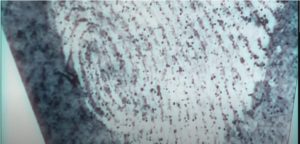 Terry Driver : aka the Abbotsfords killer . – Crimestoriescollection