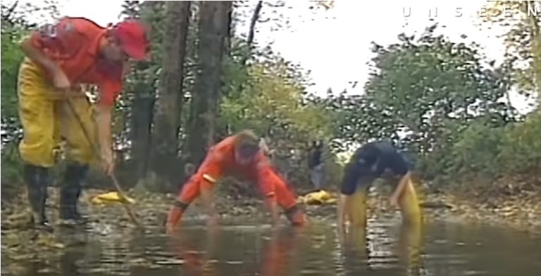 Terry Driver : aka the Abbotsfords killer . – Crimestoriescollection