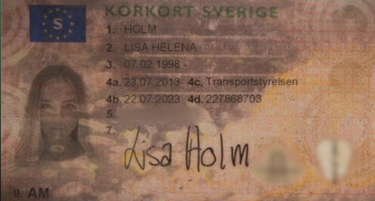 Lisa Holm- the girl who disappeared – Crimestoriescollection