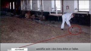 Lisa Holm- the girl who disappeared – Crimestoriescollection