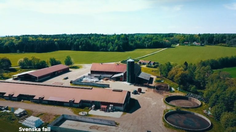 Lisa Holm The Girl Who Disappeared Crimestoriescollection