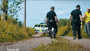 Lisa Holm- the girl who disappeared – Crimestoriescollection