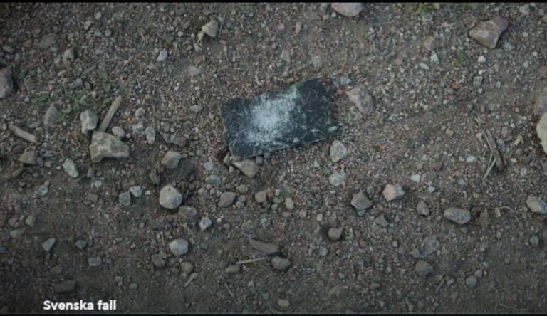 Lisa Holm- the girl who disappeared – Crimestoriescollection